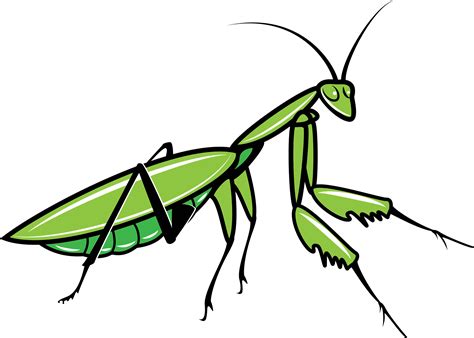 Grasshoppers Free Clipart 3315702 Clipart Library