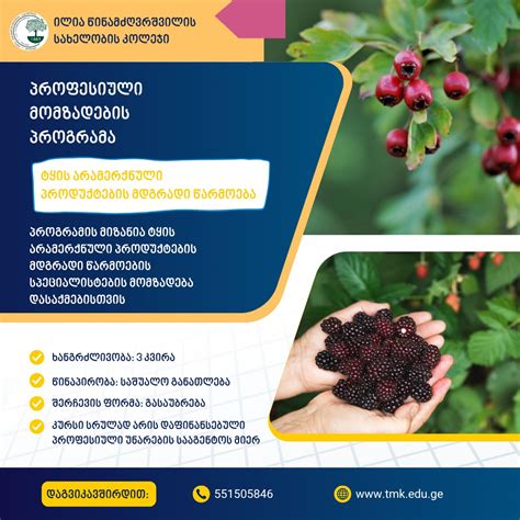 პროფესიული მომზადების პროგრამა “ტყის არამერქნული პროდუქტების მდგრადი წარმოება“ ზე რეგისტრაცია დაიწყო