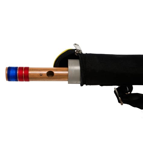 C Sharp Scale Swarasourav