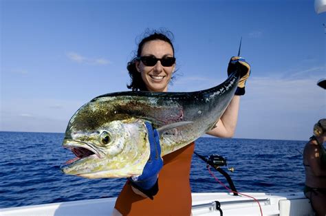 Deep Sea Fishing For Dolphin In Key West Key Wests Very Own Island