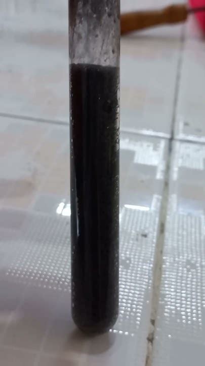 Unlocking The Potential Of Catalysts Using Mno2 To Enhance The Rate Of H2o2 Decomposition