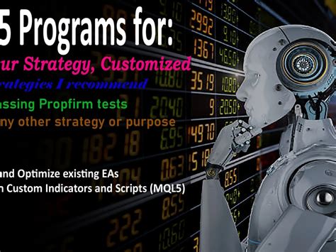 an expert mql5 program custom eas and indicators for your trading