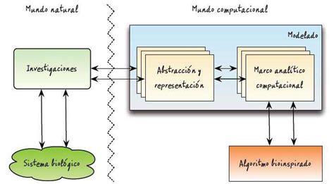 Conexión Entre Los Algoritmos Bioinspirados Y La Biología Adaptado De