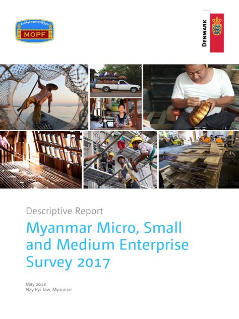 Mems Final 2652018 0 Pdf Small And Medium Sized Enterprises Employment