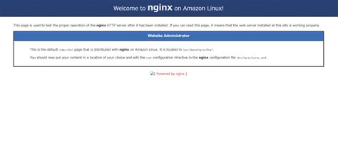 Aws Ec Nginx Syoblog