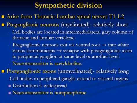 Chapter The Autonomic Nervous System Ppt Download