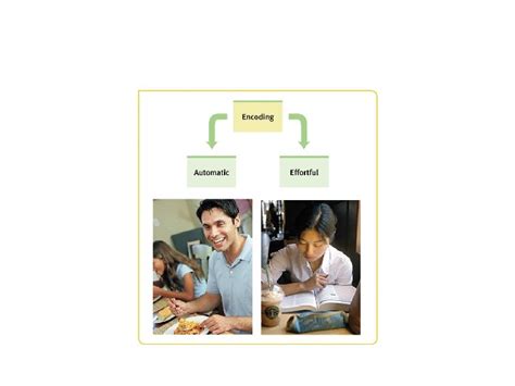 Memory The Persistence Of Learning Over Time Through