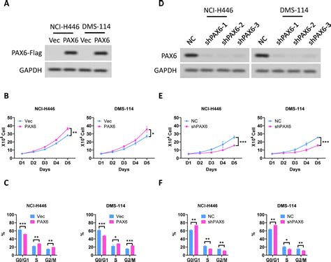 Pax6 Enhances Nanog Expression By Inhibiting Notch Signaling To Promote