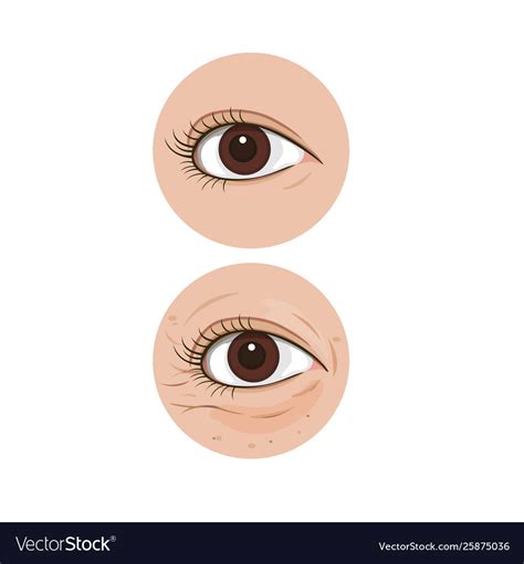Ageing Royalty Free Vector Image VectorStock