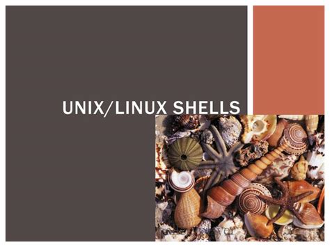 ppt unix linux shells powerpoint presentation free download id 6589520