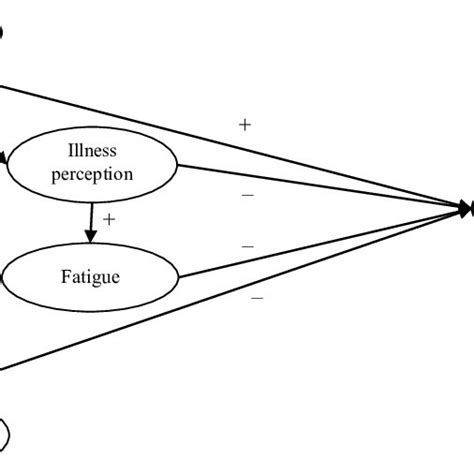 Hypothesized Model Of Functional Status Download Scientific Diagram