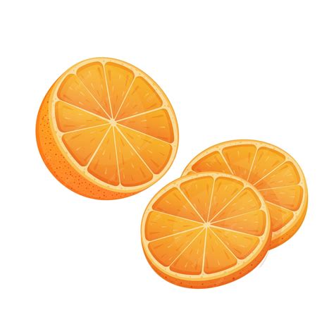 Premium Vector | Half an orange and orange slices vector illustration