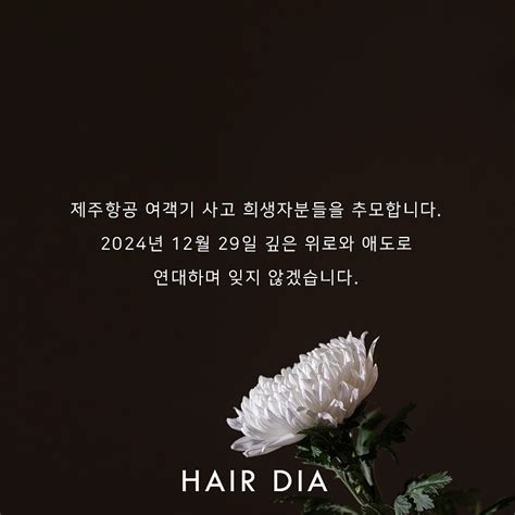 12월 29일 ~ 1월 4일까지 7일간 국가애도기간 지정 지난 29일 전남 무안국제공항에서 발생한 제주항공 여객기 사고로 인해 명을 달리한 고인분들의 명복을 진심으로