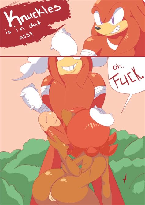 Rule 34 Anthro Cloudz Echidna Female Fur Knuckles The Echidna Male