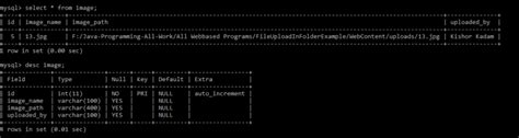 file and data upload in folder server and path upload in database using jsp