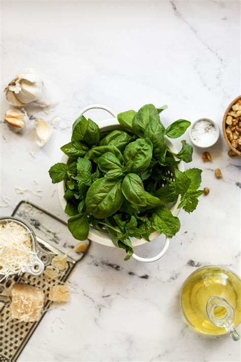 Basil Mint Pesto