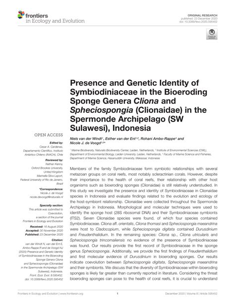 Pdf Presence And Genetic Identity Of Symbiodiniaceae In The