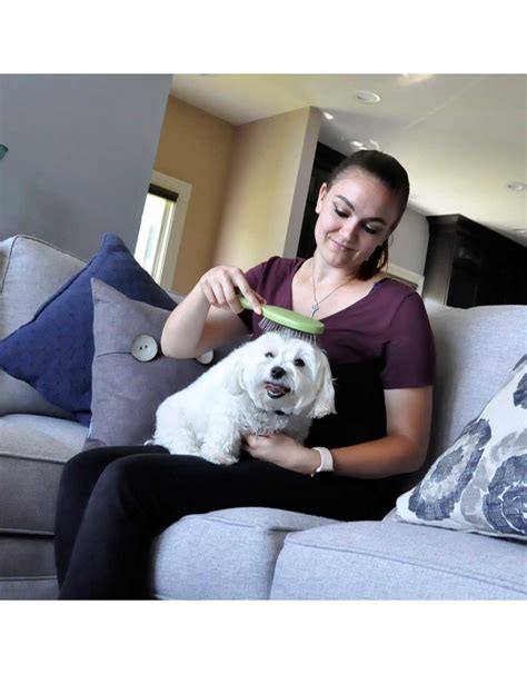 Safari Wire Pin Brush Small Howl