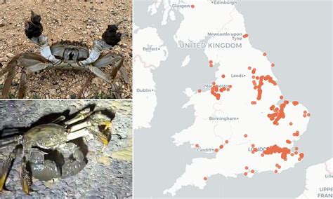 The Great Chinese Mitten Crab Invasion Map Shows How Clawed Incomers