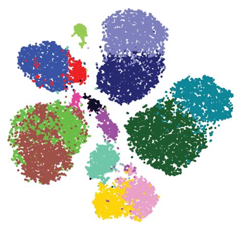 Proteomics Of Immune Cells In Cancer Bioserendipity