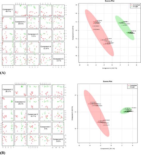Partial Least Square Discriminant Analysis Pls Da And 2 Scores Download Scientific Diagram