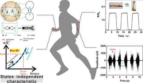 Topologically Enhanced Dual Network Hydrogels With Rapid Recovery For