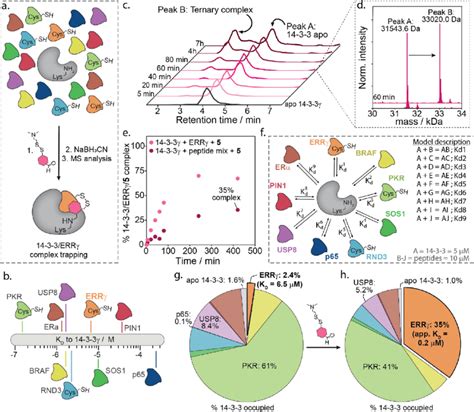 a Schematic representation of the QTOF MS experiment in which γ Download Scientific