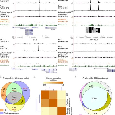 Runx1 Eto Causes The Disruption Of Pre Existing Runx1 Complexes And Download Scientific Diagram