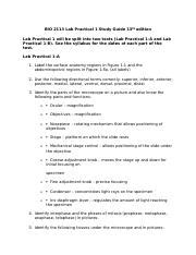 Lab Practical 1 Study Guide 13th Docx BIO 2113 Lab Practical 1 Study Guide 13th Edition Lab