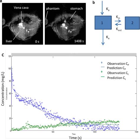 Figure 1 From Quantitative Evaluation Of The Reticuloendothelial System Function With Dynamic