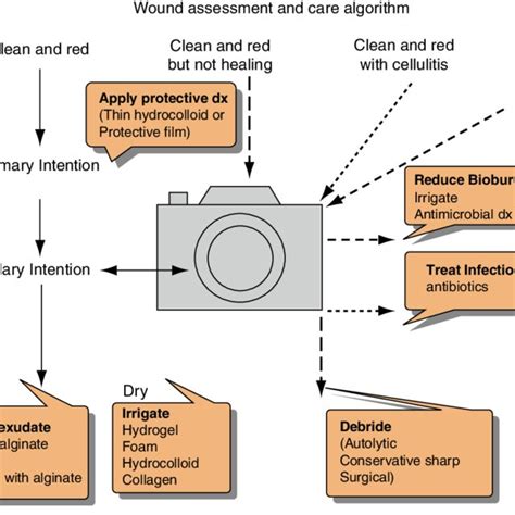 3 Wound Care Algorithm From The Vhospital Case John Wayne Download 3 Wound Care Algorithm From The Vhospital Case John Wayne Download
