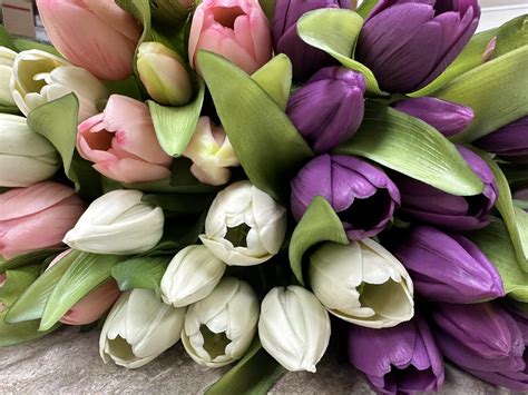 Century 21 Westcoast Realty Inc Brokerage Goderich Rooms For Rent