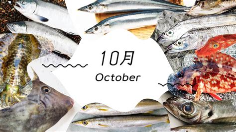 3月の旬・人気の魚介類一覧と特徴 とともん（totomon）