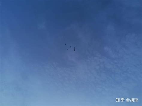 仰望天空。 知乎