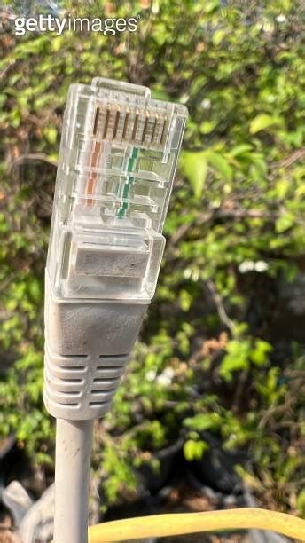Lan Network Connection Ethernet Cable 이미지 2149272899 게티이미지뱅크