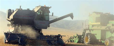 Тариалангийн бүс нутагт үүл буудаж бороо оруулна Гэрэл гэгээ