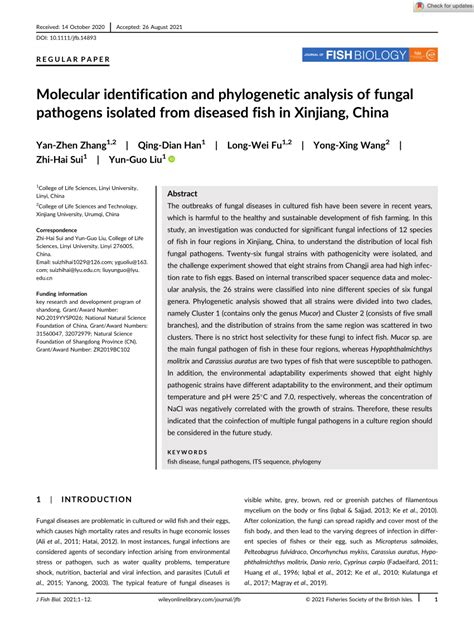 Pdf Molecular Identification And Phylogenetic Analysis Of Fungal