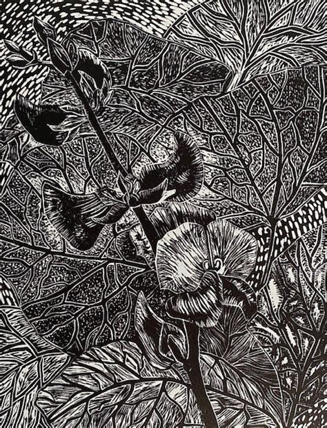 Lablab Purpureus Michele Barnes Contemporary Artist