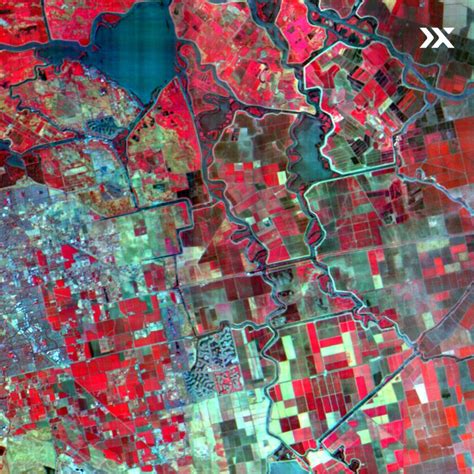 Over The Last Few Months The Fireflies Have Been Up To Some Serious Spectral Magic Pixxel