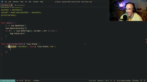 How To Execute Lua Scripts In Golang Youtube