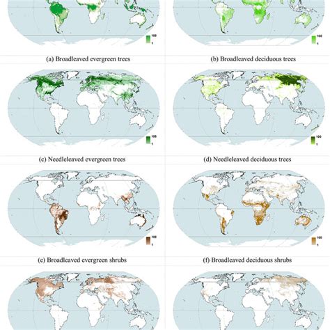 Percentage Cover In 2010 For The 14 Pfts Included In The Pft Local Data