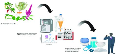 Schematic Diagram Of The Common Steps Involved In The Extraction Of Download Scientific Diagram