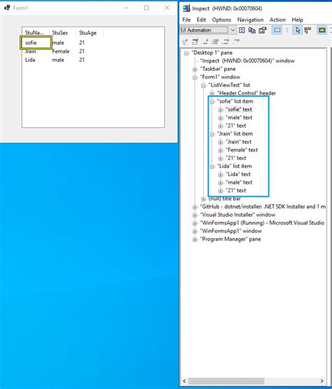 Accessibilityinsight An On Screen Element Must Not Have A Null