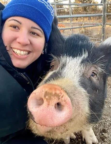 The Crows Croft Get A Taste