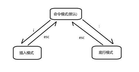 Linux编辑器——vim的使用linux Vi Shift Gg Csdn博客 Linux编辑器——vim的使用linux Vi Shift Gg Csdn博客