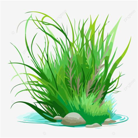 Seegras Vektor Aufkleber Clipart Gras Und Felsen Im Wasser Auf Weißem