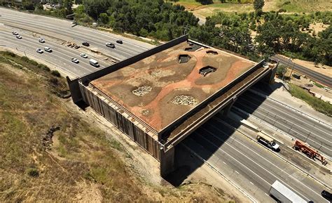 Creating A Crossing For Cougars In California Engineering News Record