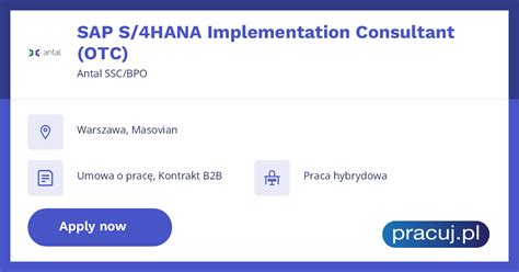 Oferta Pracy Sap S4hana Implementation Consultant Otc Antal Sscbpo