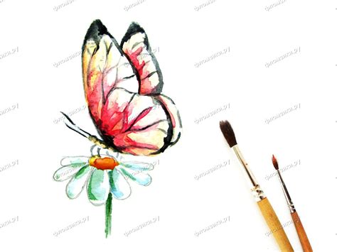 Как нарисовать бабочку поэтапно Фломзики ру