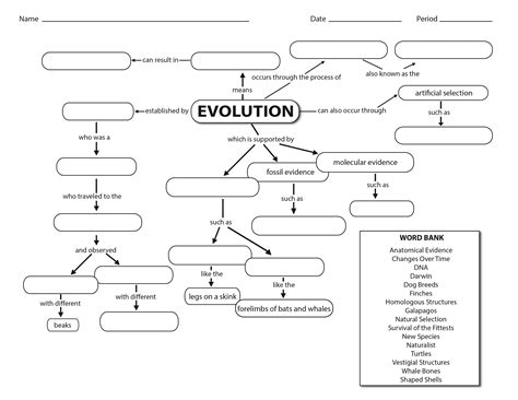 Evolution Natural Selection Mrs Munguia S Biology Corner
